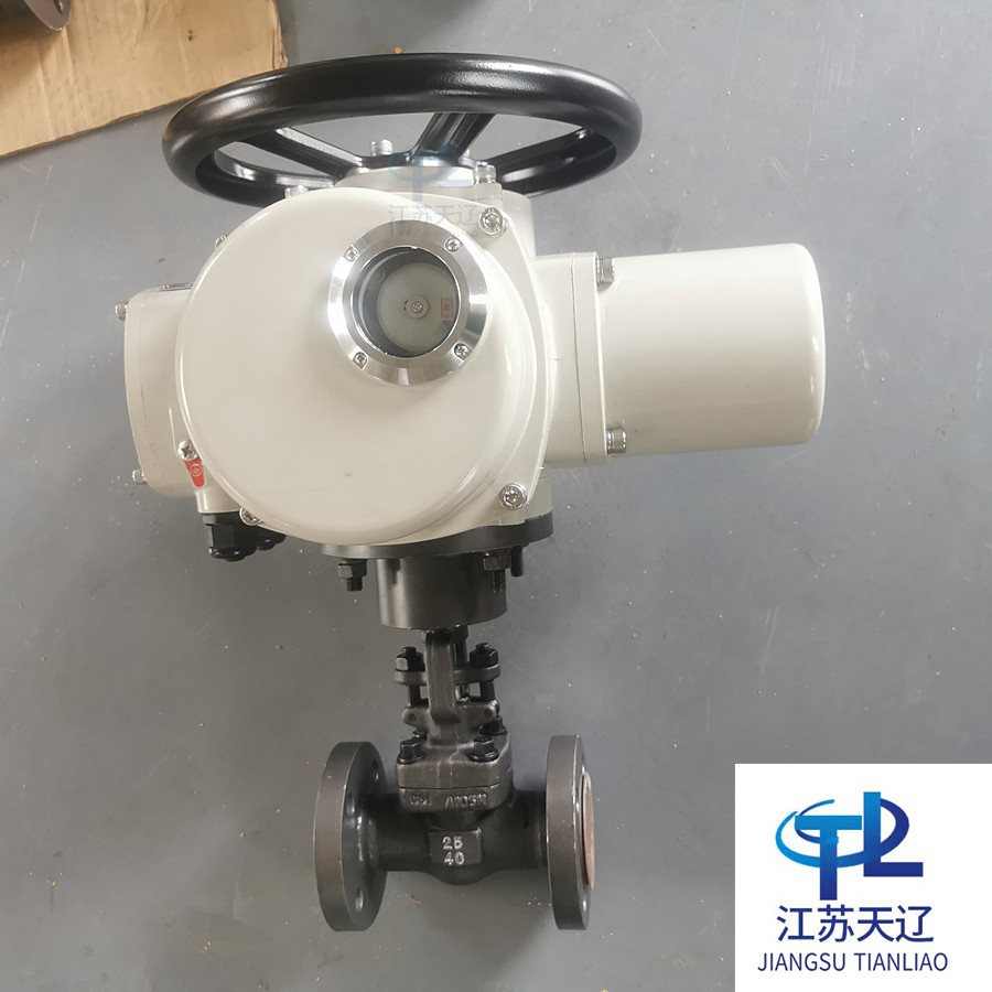 电动锻钢闸阀Z941H-40C 江苏天辽 A105锻钢材质电动闸阀_电动锻钢闸阀_江苏天辽自动化科技有限公司