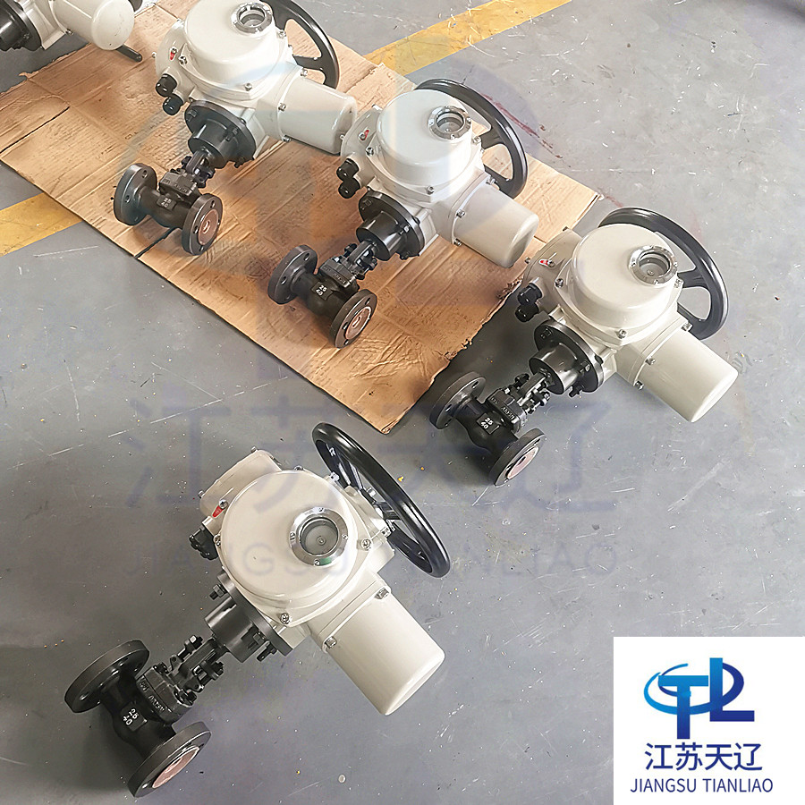 Z941H-40C-DN25小口径高压电动锻钢闸阀 A105锻钢材质_小口径高压电动锻钢闸_江苏天辽自动化科技有限公司