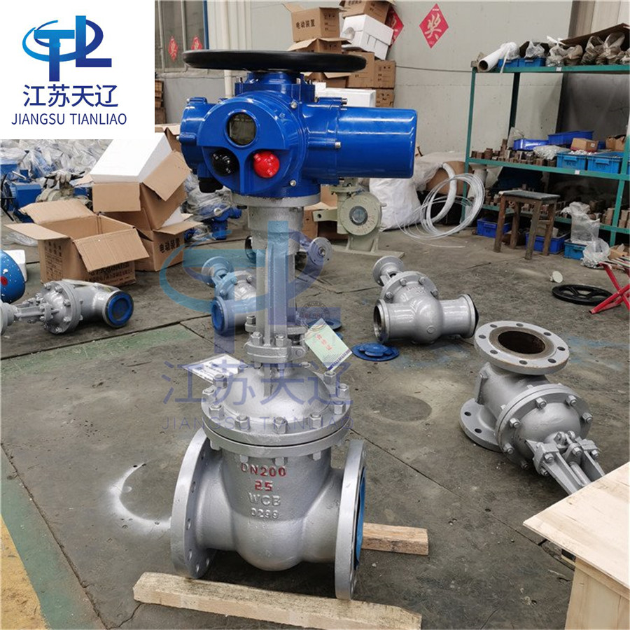 江苏天辽Z941H-25C-DN250智能一体式调节型电动闸阀 整体调节型电动闸阀 4-20mA模拟量信号输入输出_智能一体式调节型电动_江苏天辽自动化科技有限公司