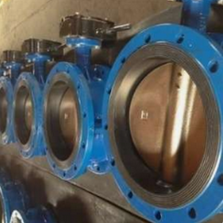 D341X蜗轮电动蝶阀 QDX3-9-搜了网