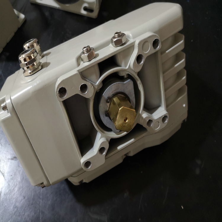 ZYS-05精小型电动执行器 ZYS-10 ZYS-60 ZYS-40-搜了网