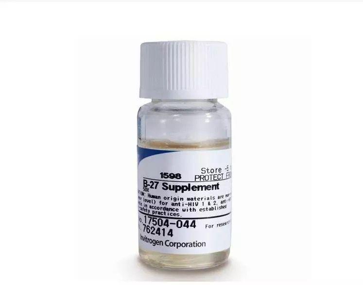 B27无血清培养基添加剂 品牌Gibco 货号17504-044-搜了网