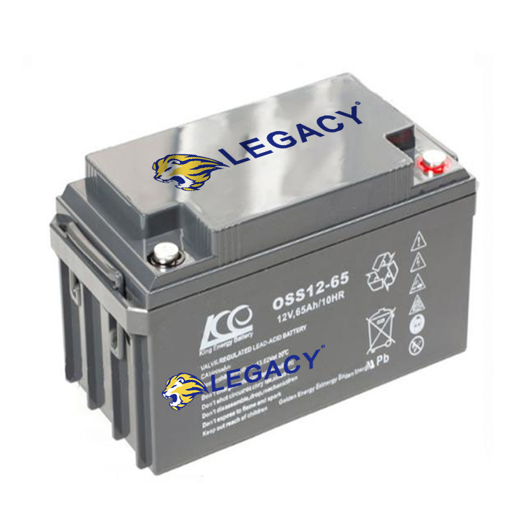 德国GLP/GLOBAL LEADER POWER 蓄电池深放电循环-搜了网