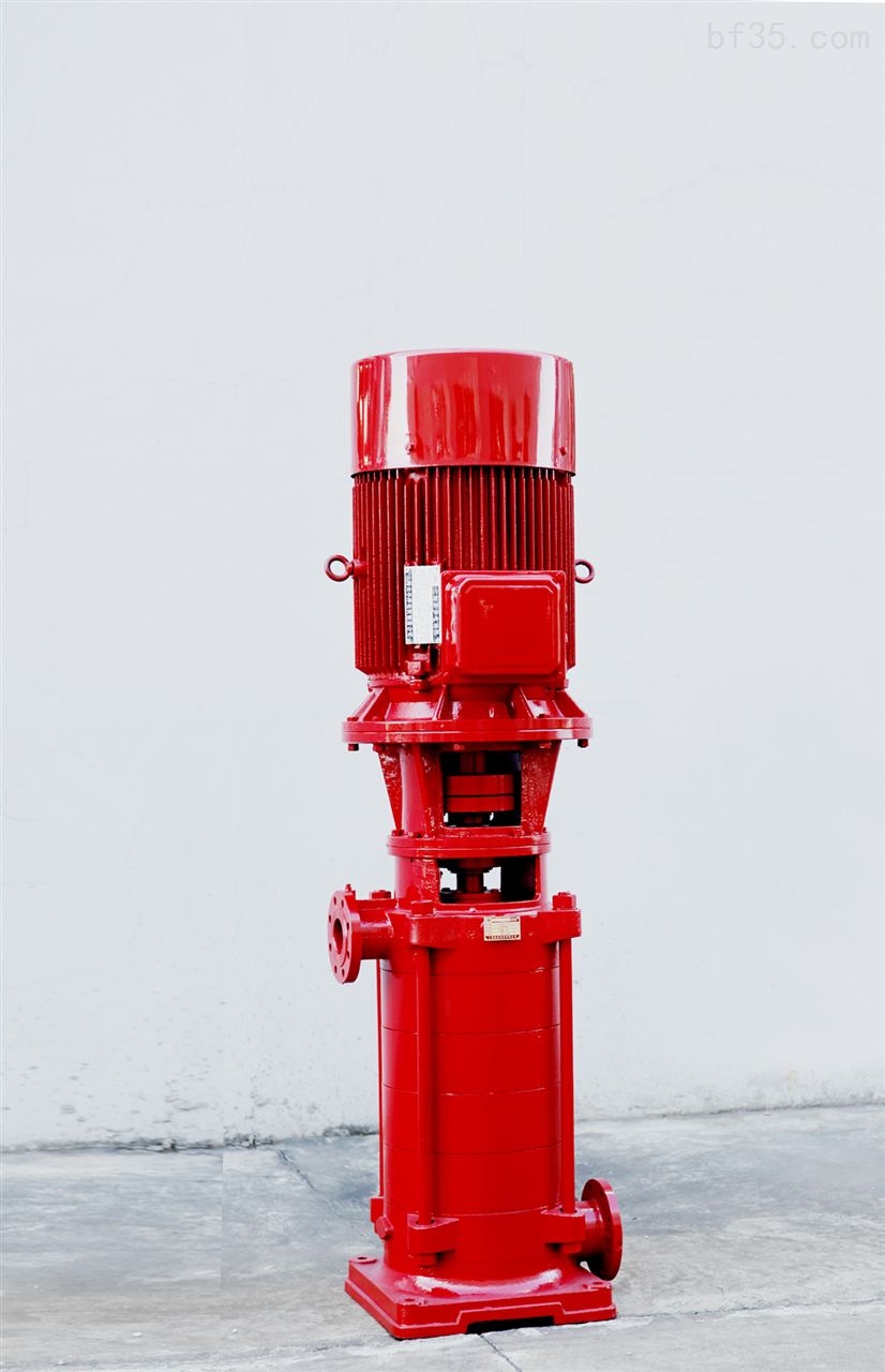 立式消防泵 XBD8.8/65G 立式单级消防泵 稳压设备 视频-搜了网