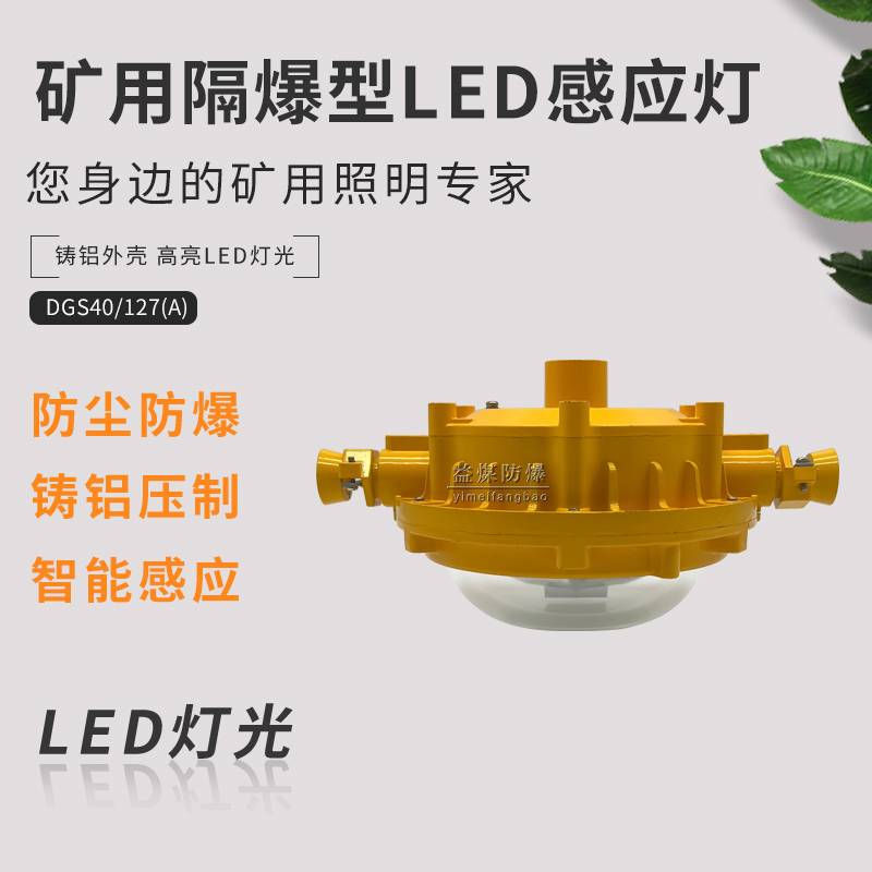 DGS40/127L(A)矿用LED感应灯 桃园煤矿防爆感应巷道灯_矿用LED感应灯_浙江益煤防爆电器有限公司