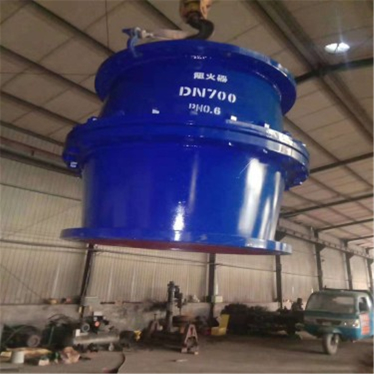 亿金管道生产 DN15-DN1500 铸钢阻火器 防爆阻火器 阻爆燃阻火器 生产制造 视频-搜了网