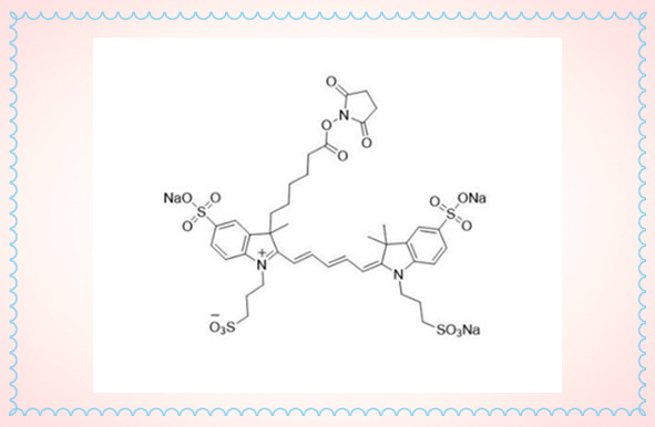 AF647 Tyramide，AlexaFluor 647TSA，荧光增强试剂-搜了网