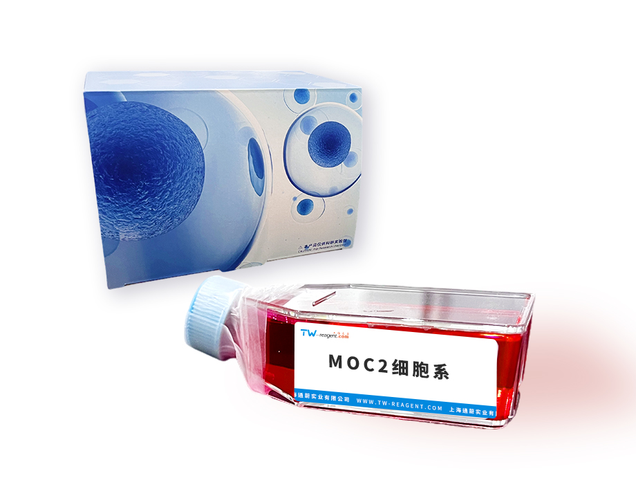 永生化小鼠骨髓巨噬细胞 iBMDM-搜了网